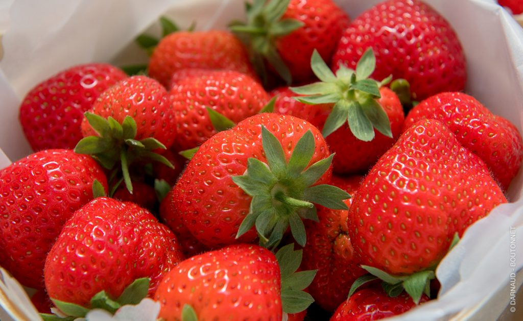 La fraise, vitamine du printemps - Sud de France